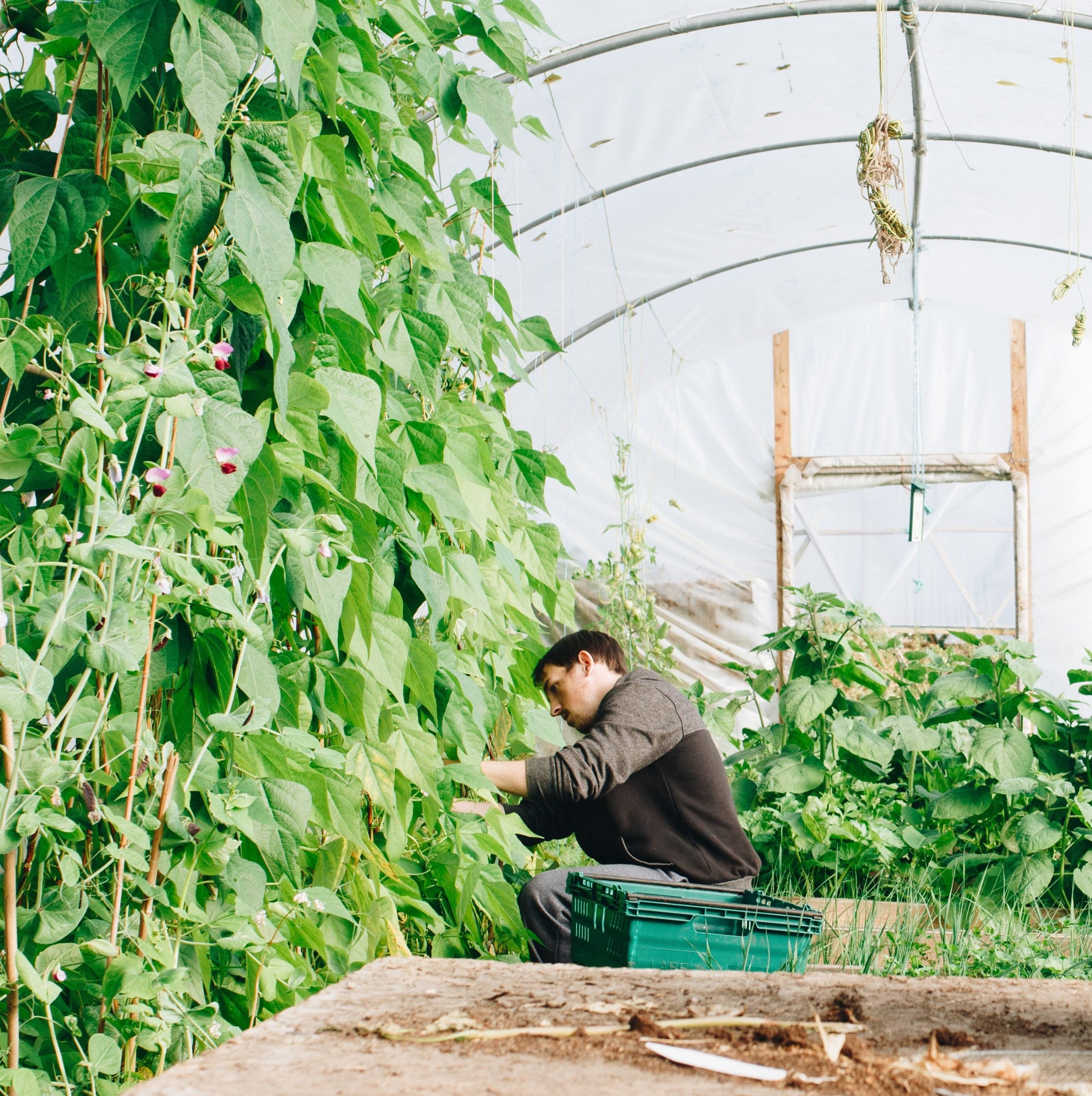 Food and Wellness Trends for 2022 – Verde Food